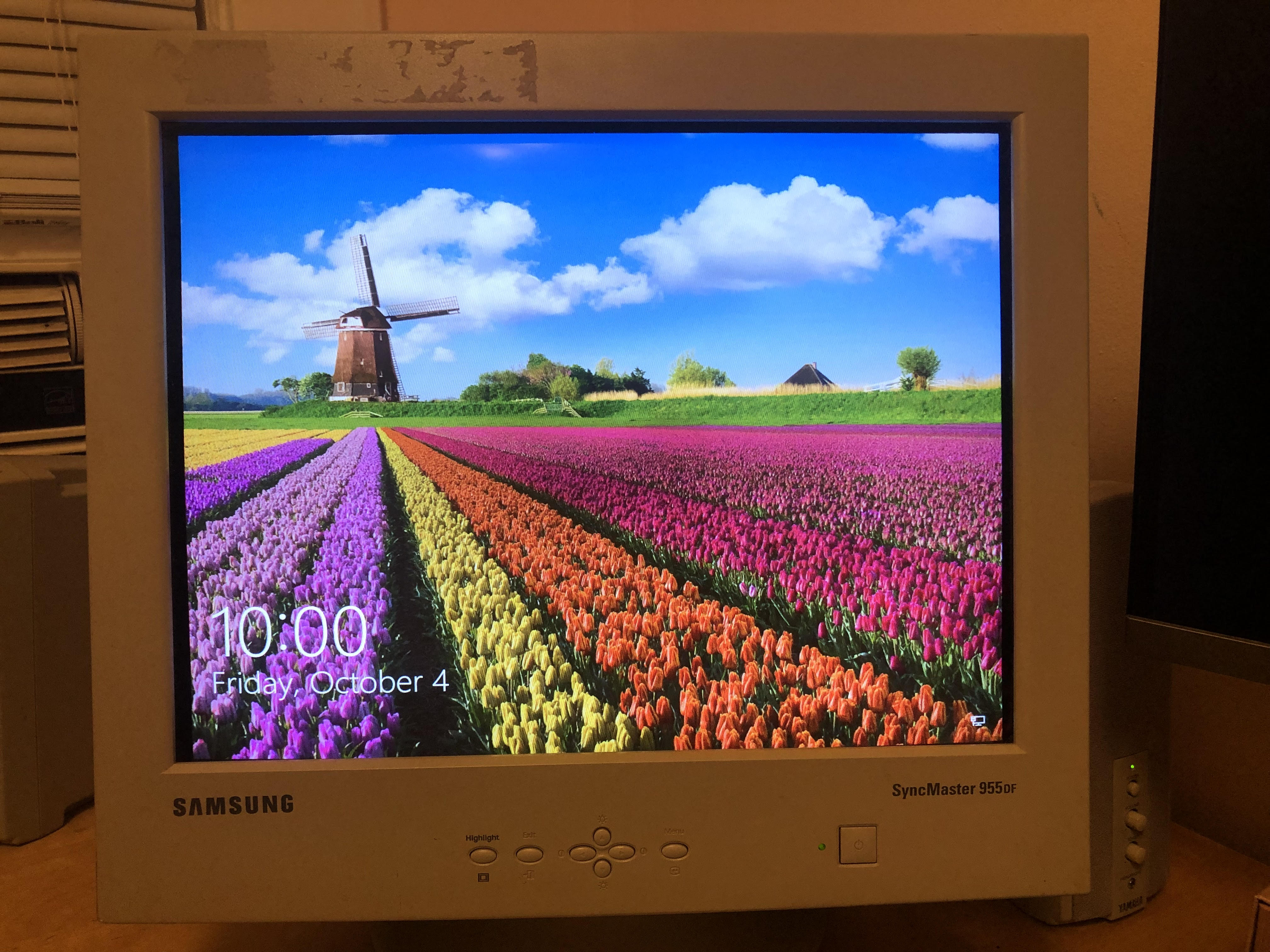 Samsung SyncMaster 955DF | CRT Database